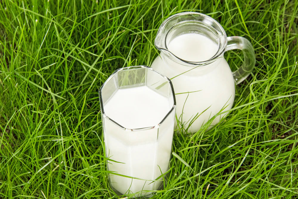 Bone Broth: How It's Made and What It Does