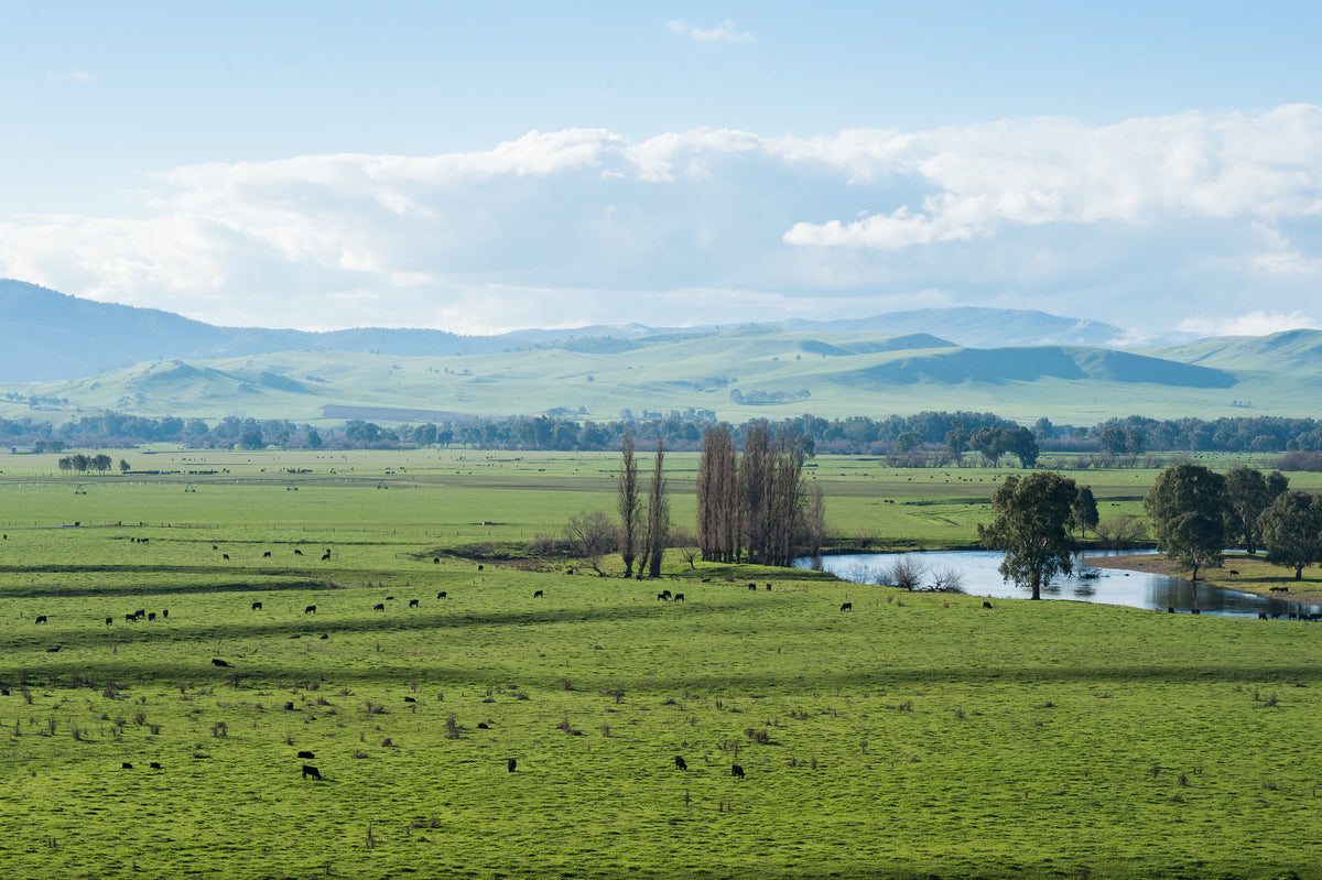 Horizon Farms - Organic, Free-Range, Meat & Produce - Japan Delivery