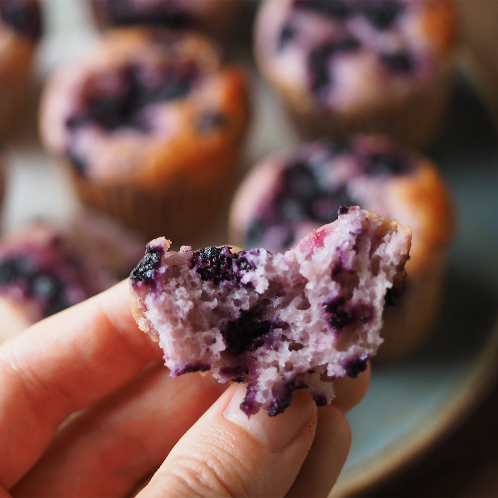 Certified Organic Frozen Forest-Picked Wild Blueberries from Sweden (1