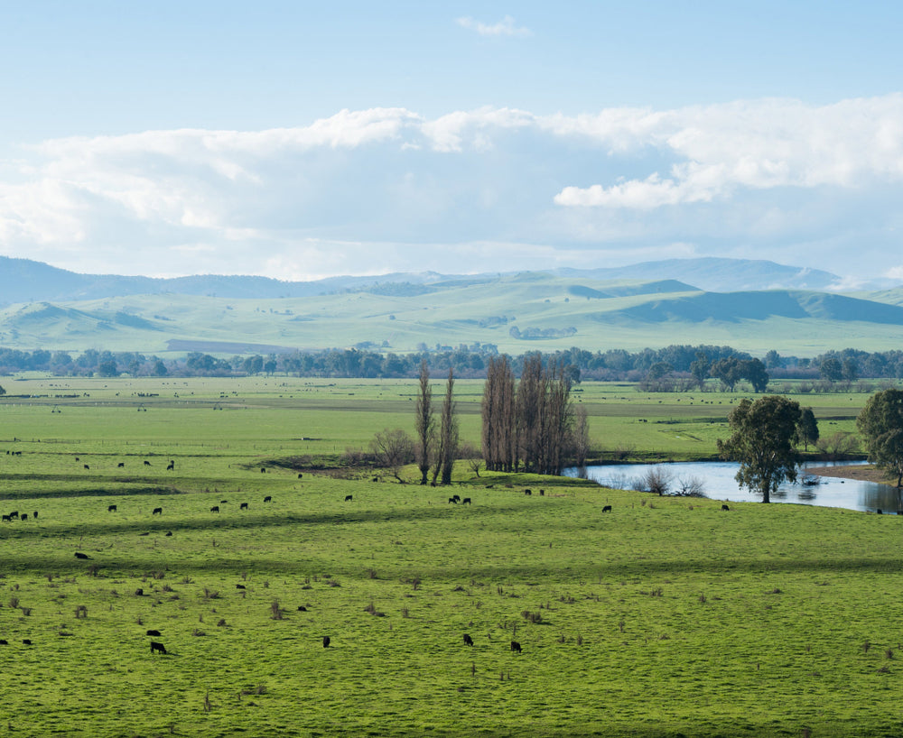 Horizon Farms Discounted Trial Sets