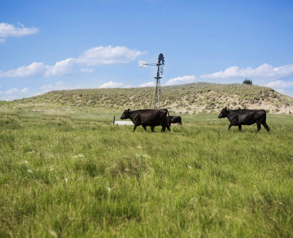 Horizon Farms Discounted Trial Sets