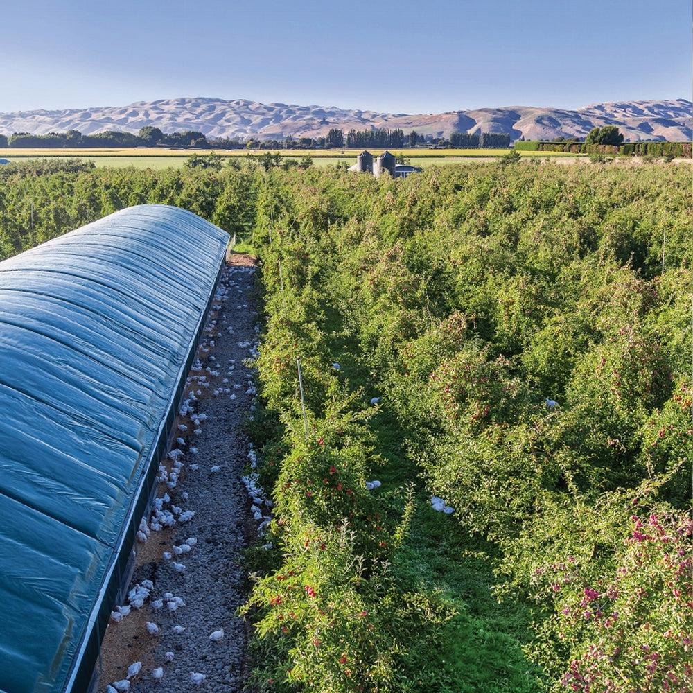 Horizon Farms - Organic, Free-Range, Meat & Produce - Japan Delivery