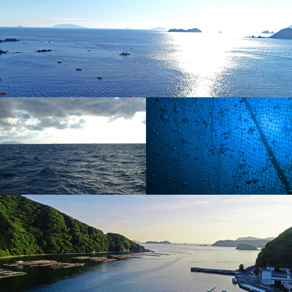 BAP-Certified Red Seabream Sashimi Grade Fish Fillets from Japan (280g